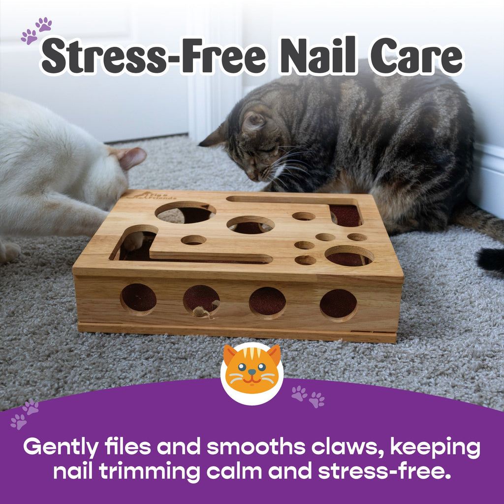 *The Original* Cat Nail File Enrichment Box – derawaydeliveries